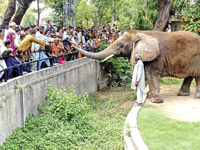 Lahore Zoo Ticket Price & Timing 2026 - Address, Contact Numbers ...