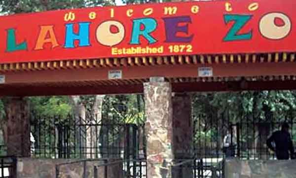 Lahore Zoo Ticket Price & Timing 2024 - Address, Contact Numbers ...