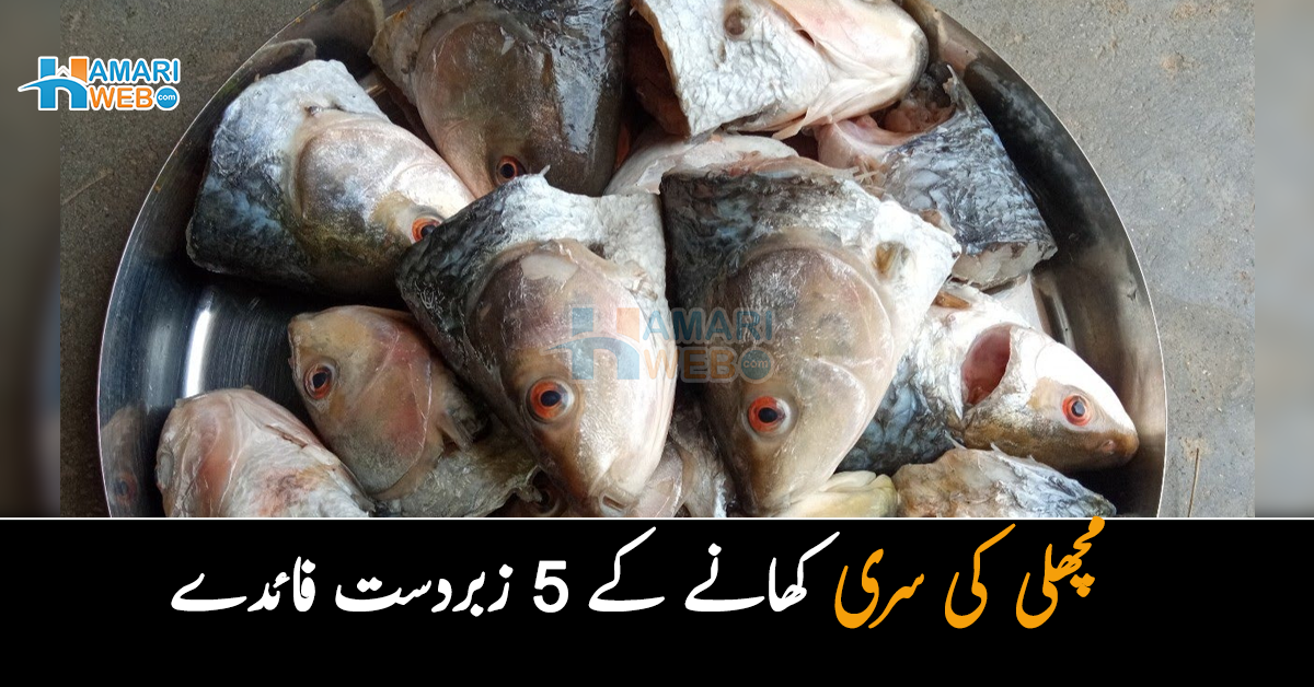 Latest News By HamariWeb : اس کا سر پھینک دیتے ہیں تو ٹہریں! جانئیے ...