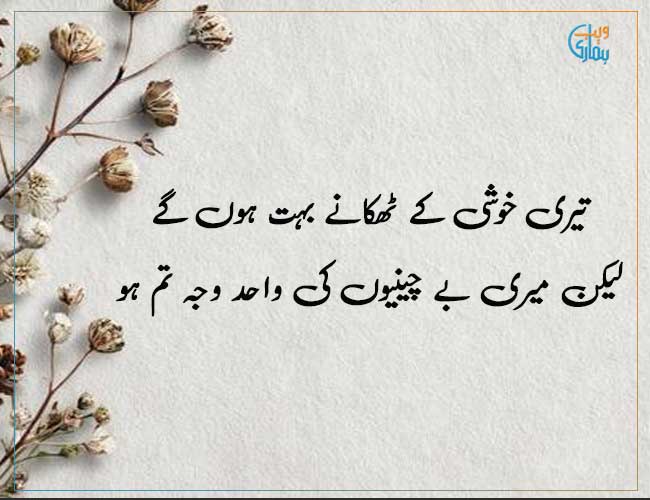 tery jesa na koi tha - Hamariweb.com